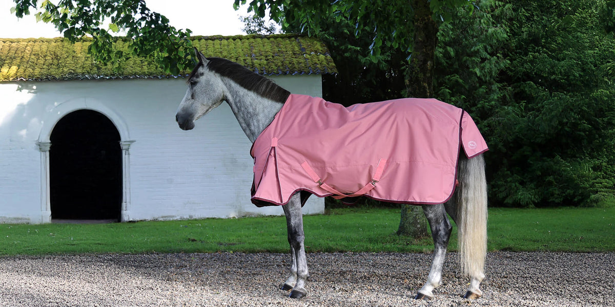 Vandtætte hestedækkener til heste og ponyer året rundt – Rider by Horse