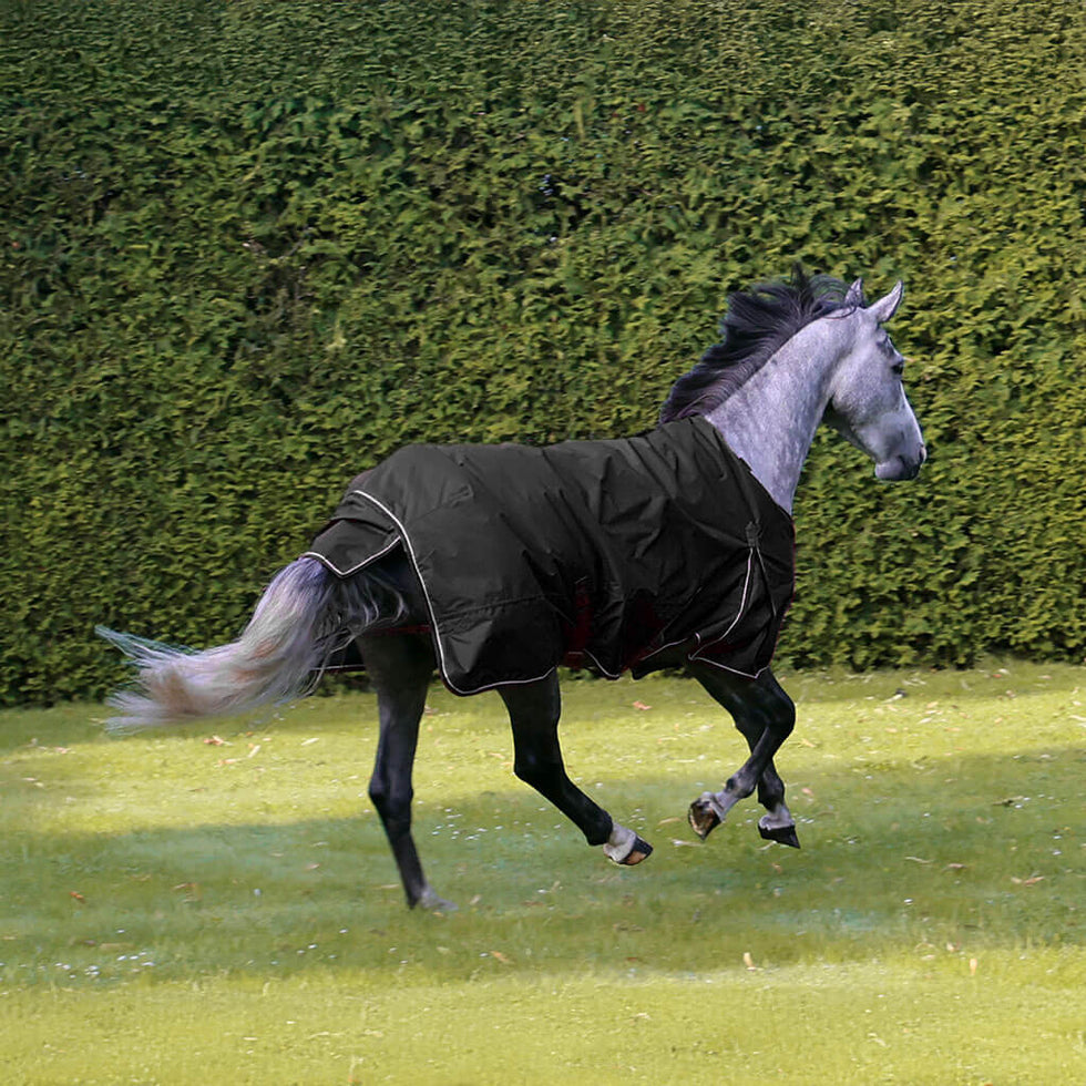 Dækkener – Hestedækkener til hest & pony – Rider by Horse